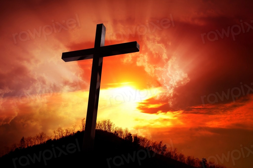 The Rod and the Serpent – Getting the Seed out of the basket and into ...